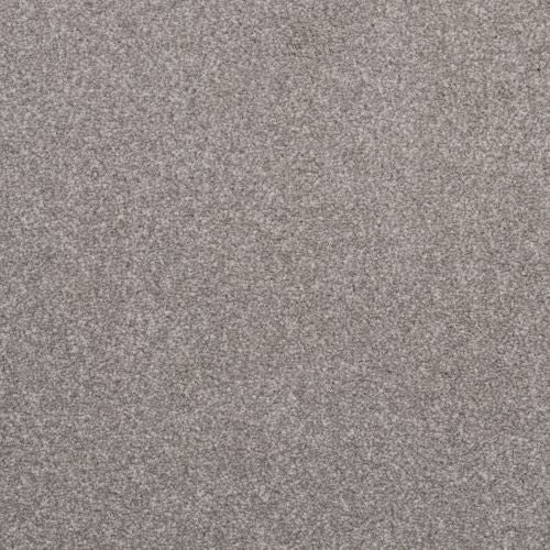 Victoria Carpets First Impressions 5m x RL Carpet Roll – LA Floor ...