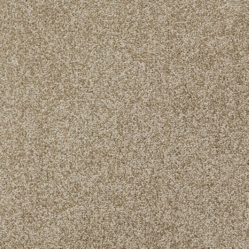 Victoria Carpets Aura 4m x RL Carpet Roll – LA Floor Covering UK